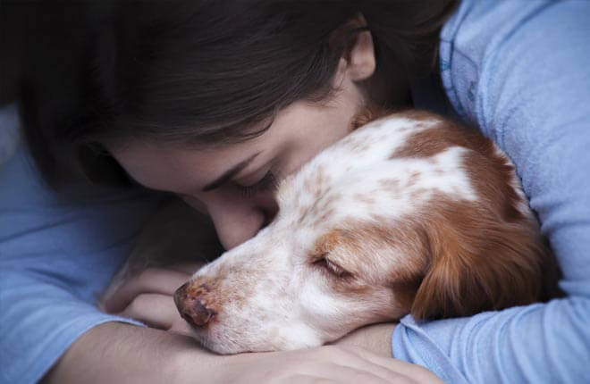 Euthanizing a Pet: Preparation & Next Steps | Zoetis Petcare