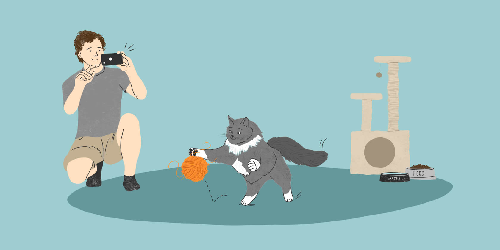 Tips for Taking Videos of Your Cat to Track Their Health | Zoetis Petcare