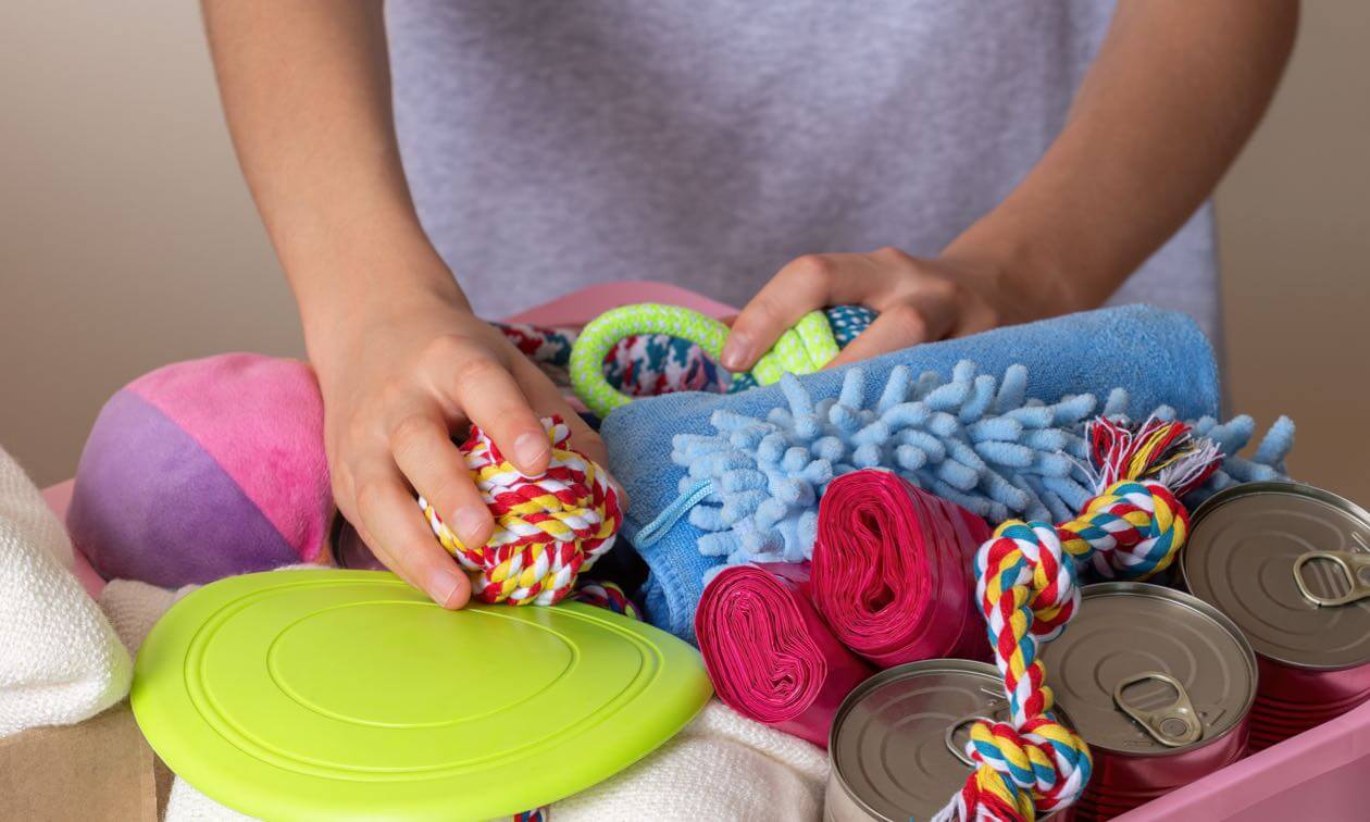 50 Things to Donate to Animals Shelters (That You Already Have in Your ...