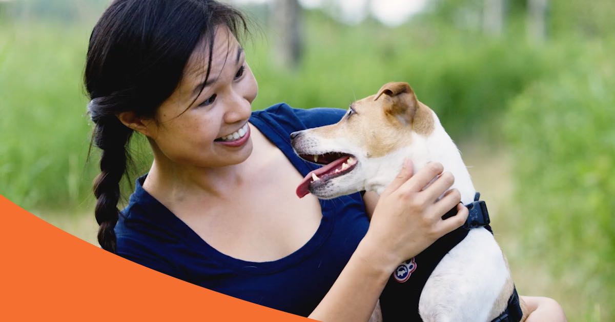 Discover the Healing Power of Pets! | Zoetis Petcare