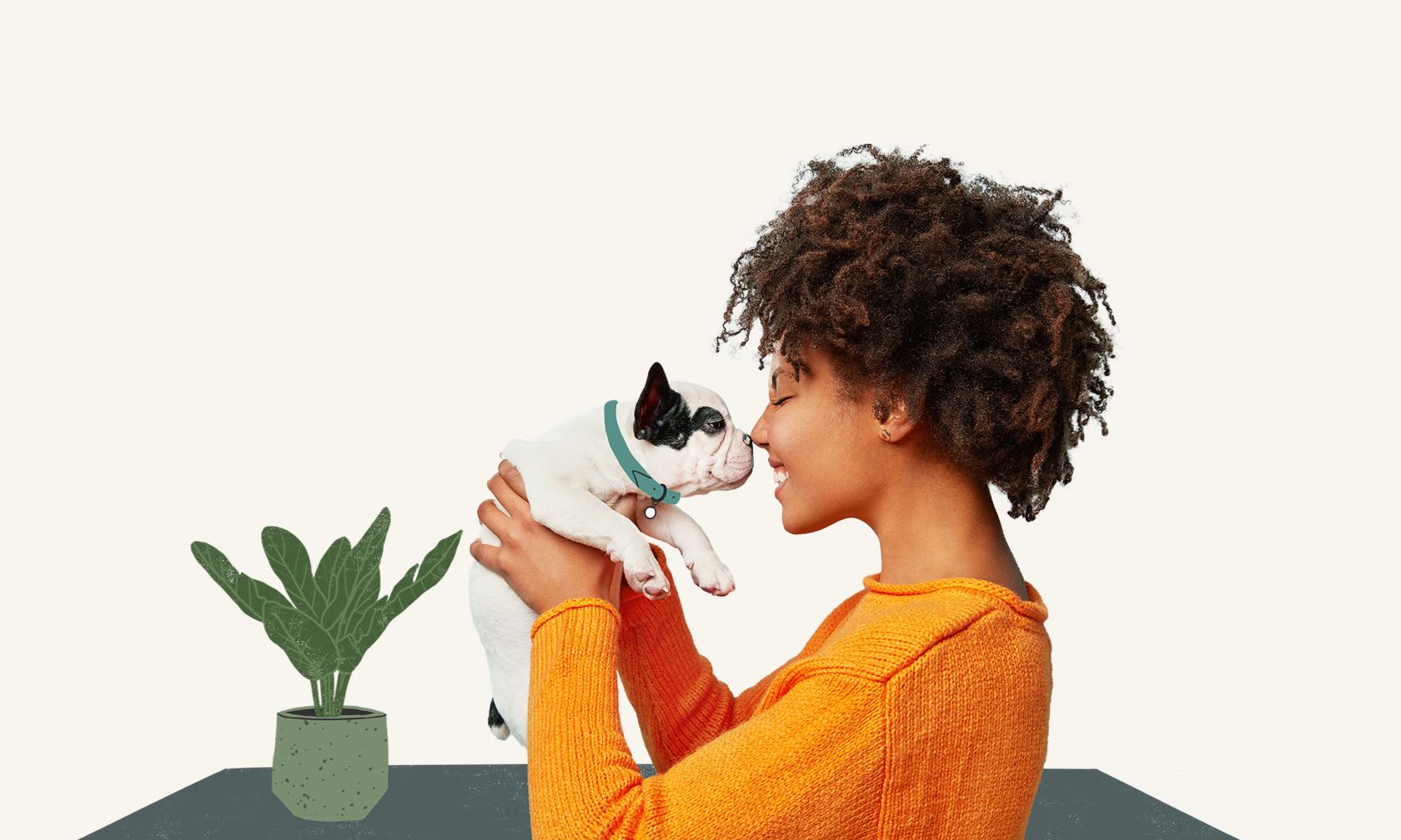 Safety | Zoetis Petcare