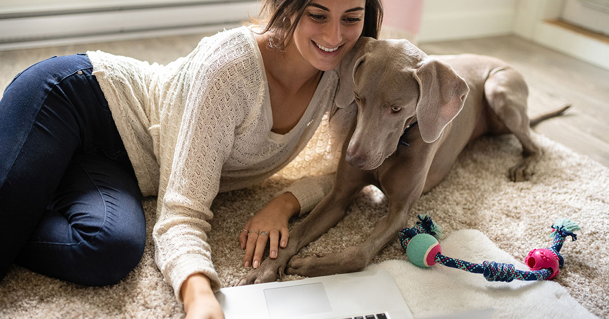 Helping Your Pet Adjust as You Return to Work | Zoetis Petcare