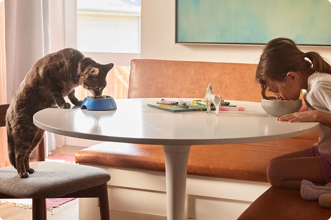 Solensia | Zoetis Petcare
