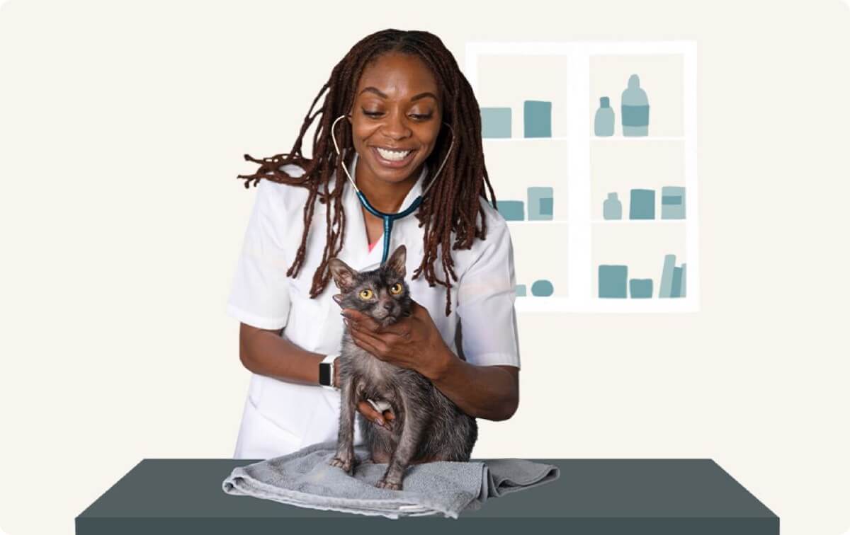 Pet Health Checklist | Zoetis Petcare