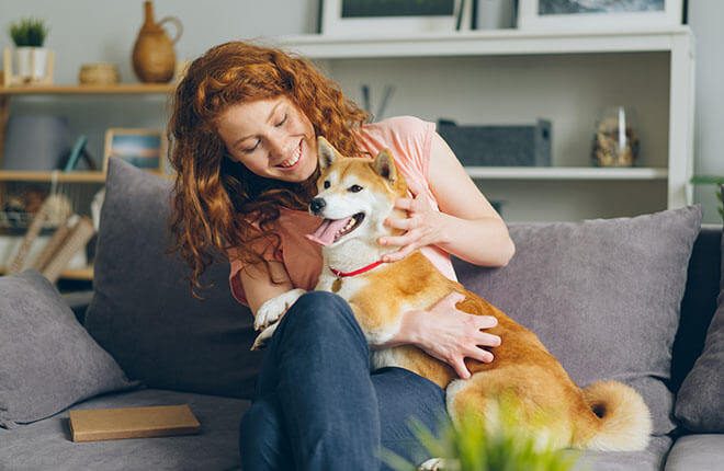 Best Dogs for Apartment Living | Zoetis Petcare