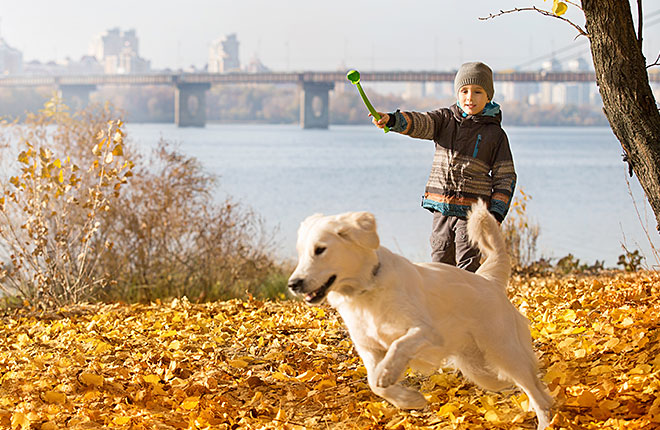 Fall Activities for You and Your Dog | Zoetis Petcare