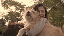 ProHeart 12 | Zoetis Petcare