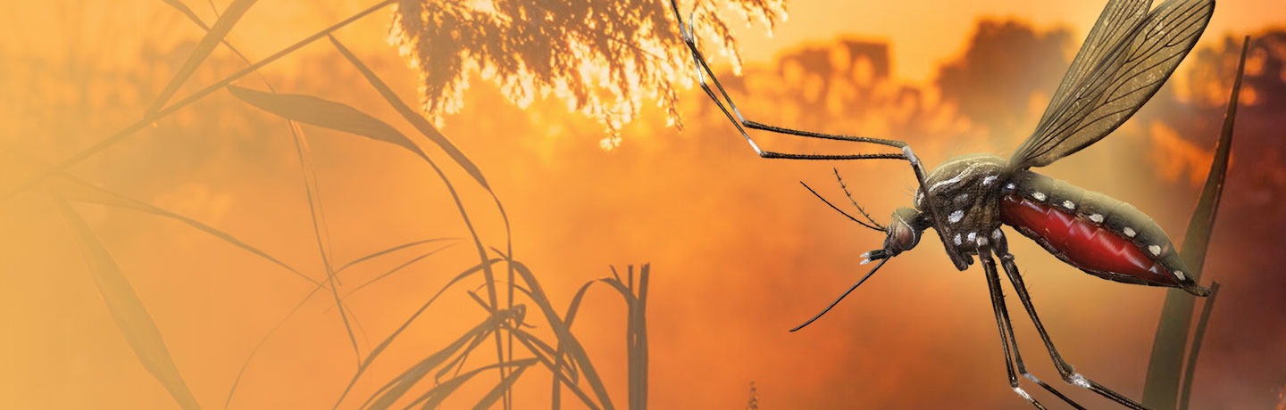 ProHeart | Zoetis Petcare