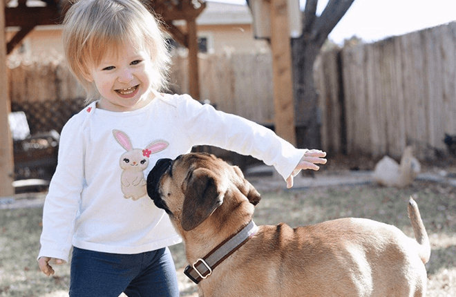 8 Ways Kids Can Help with Pets | Zoetis Petcare