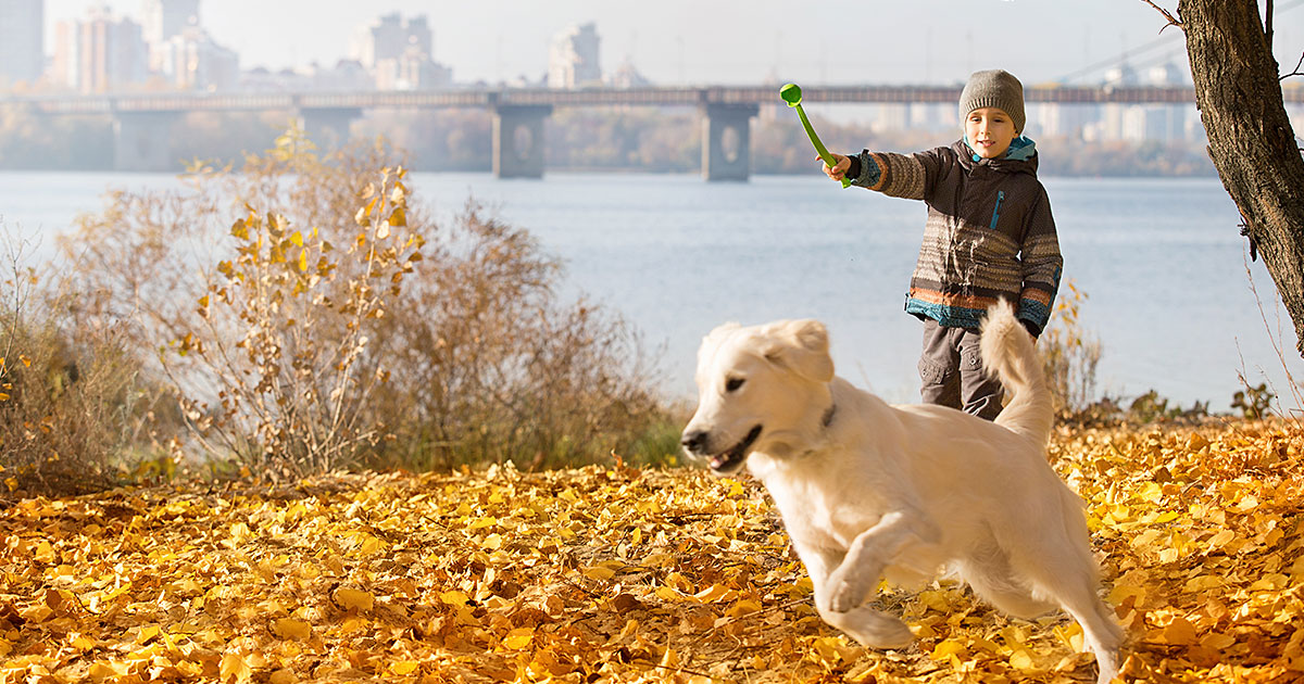 Fall Activities for You and Your Dog | Zoetis Petcare
